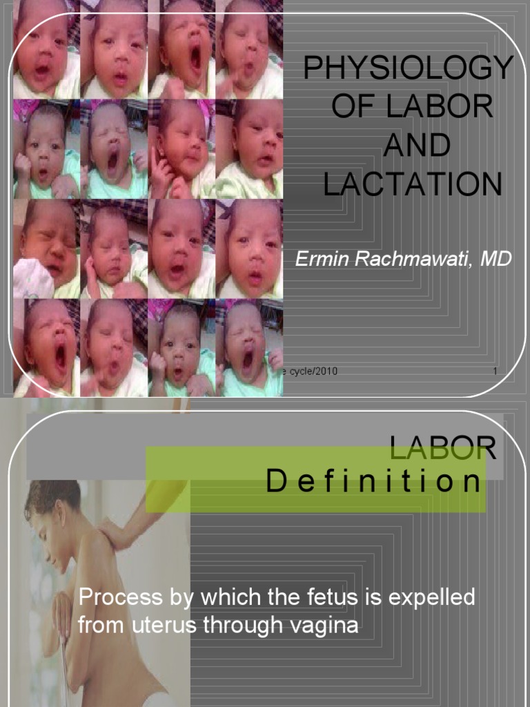 Physiology of Labor and Lactation Overview | PDF | Luteinizing Hormone ...