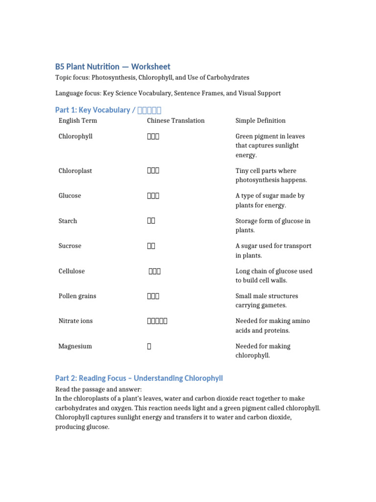 Y10B5 Plant Nutrition Worksheet | PDF | Photosynthesis | Plants
