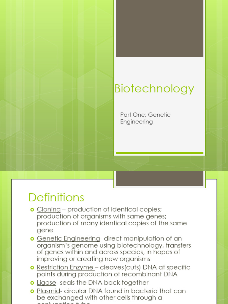 Biotechnology: Genetic Engineering Overview | PDF | Molecular Cloning ...