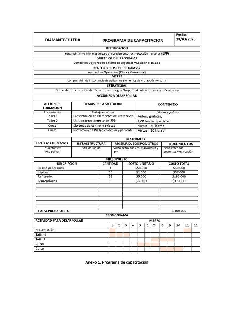 Programa de Capacitacion | PDF