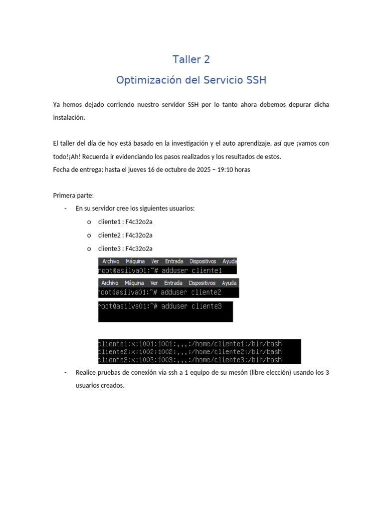 Taller N°2 - Angelo Silva | PDF