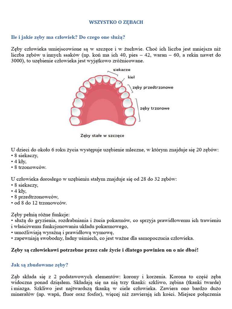 Zdrowe Zeby KL - IV | PDF