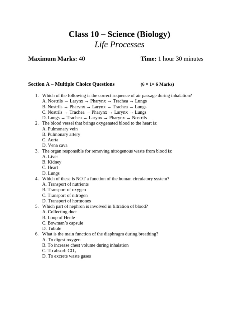 Test1_Lifeprocess | PDF | Lung | Circulatory System