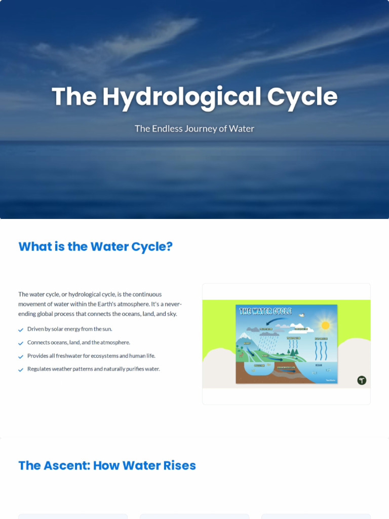 The Hydrological Cycle | PDF