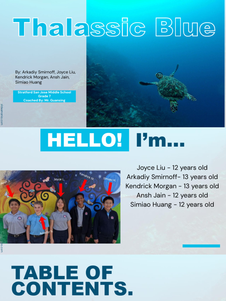 Thalassic Blue - Engineering - Joyce - Kendrick - Arkadiy - Ansh - Simiao | PDF | Oceans | Water