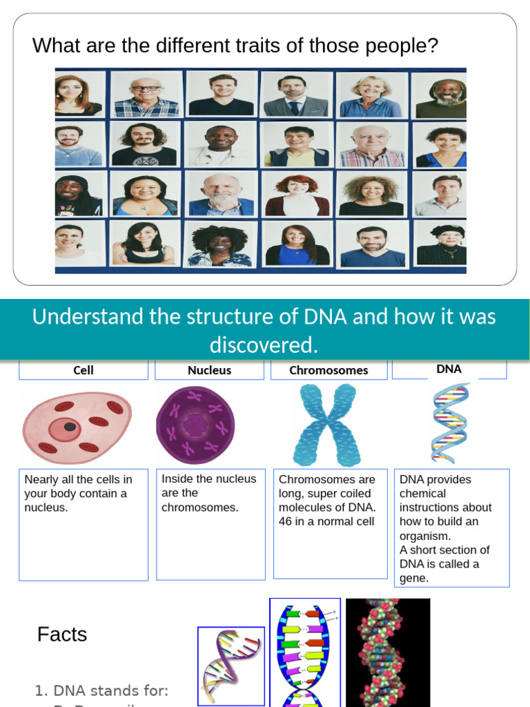 DNA and Natural Selection | PDF | Dna | Nucleic Acid Double Helix