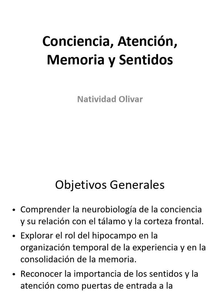WS 4 Conciencia Memoria Sentidos | PDF