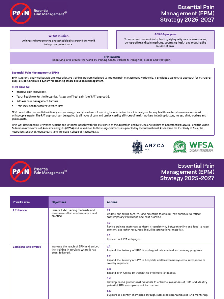 Essential Pain Management EPM Strategy FINAL 20251217 | PDF | Health ...