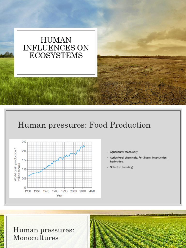 Human Influences | PDF | Intensive Farming | Agriculture