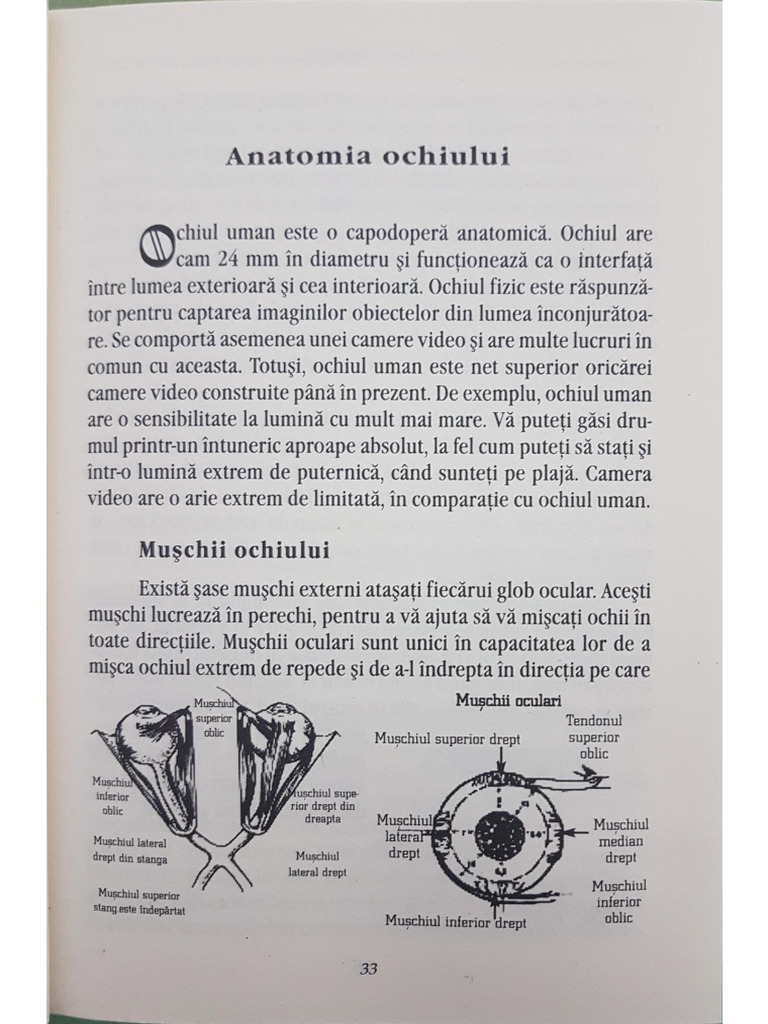 02 Anatomia Ochiului | PDF