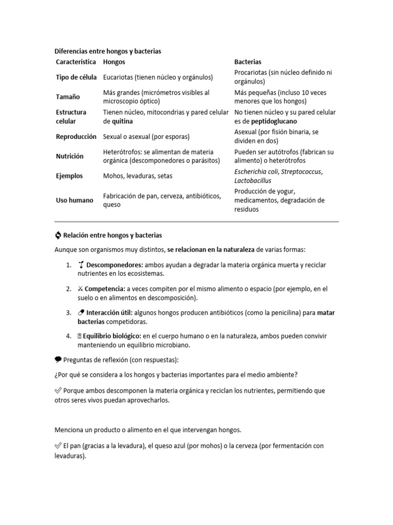 Diferencias entre hongos y bacterias | PDF | Las bacterias | Hongo