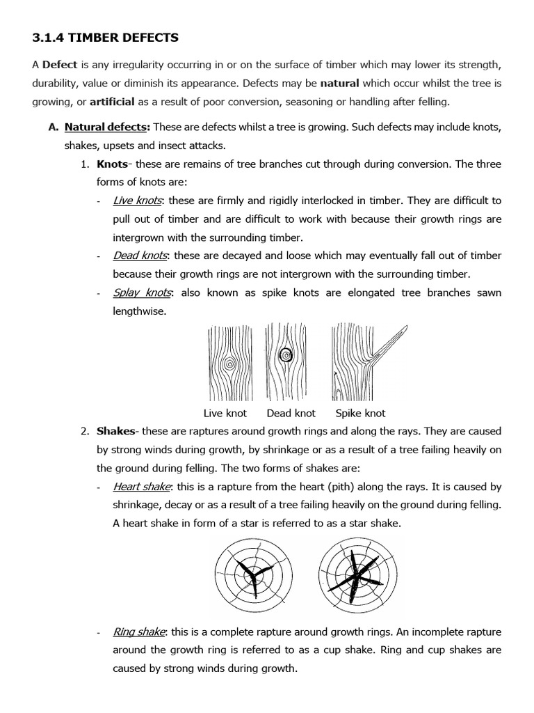 TIMBER DEFECTS in Design and Technology | PDF | Lumber | Wood