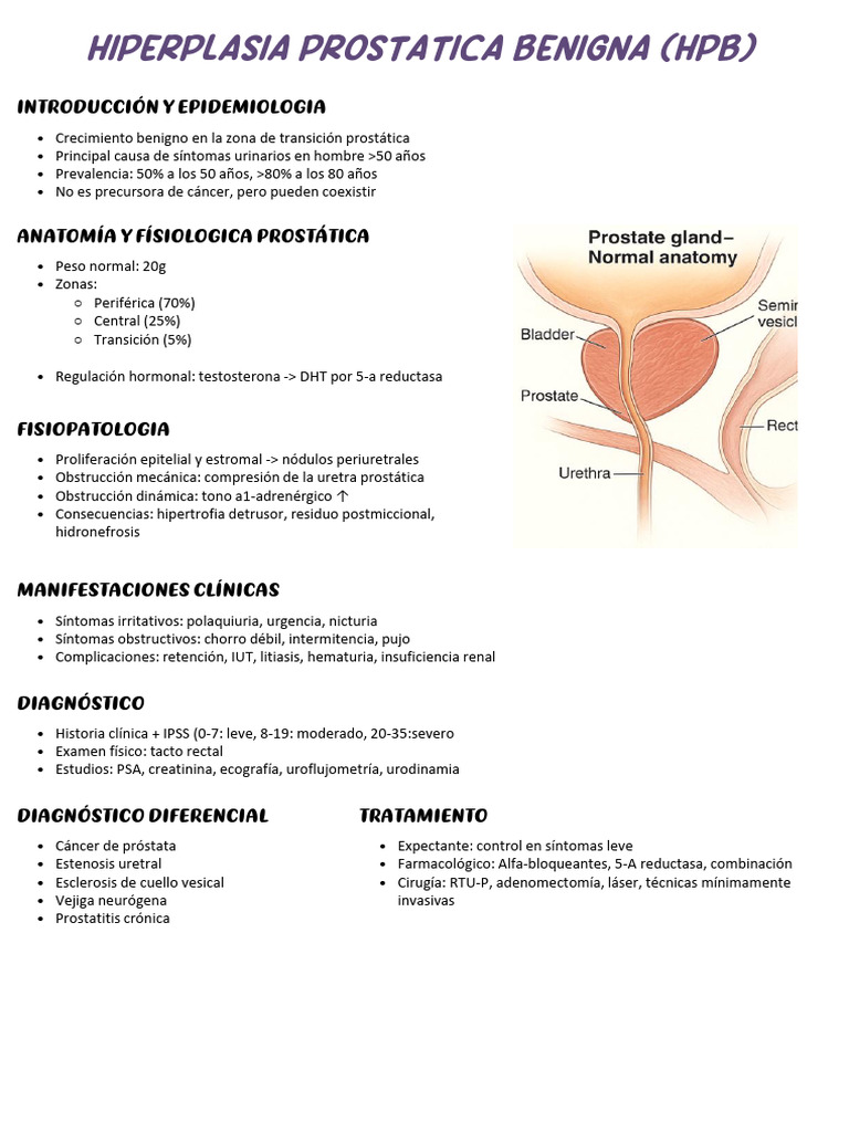Hiperplasia Prostatica Benigna (HPB) | PDF | Próstata | Urología