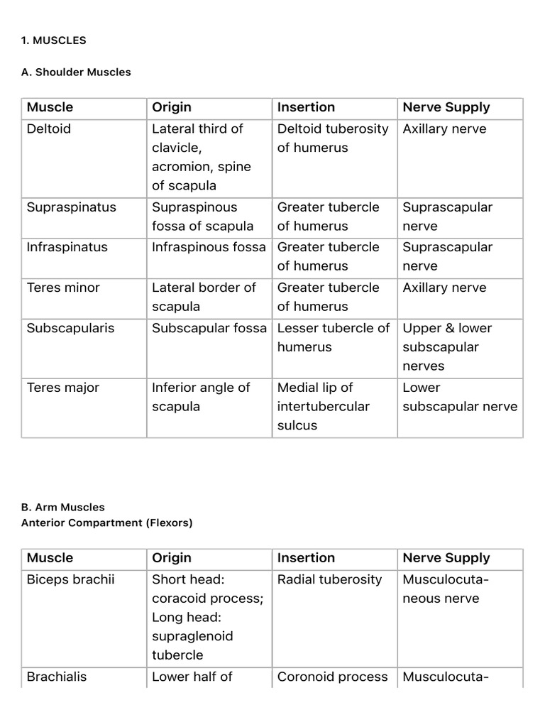 Upper Limb Muscles and Nerves Guide | PDF | Thumb | Hand
