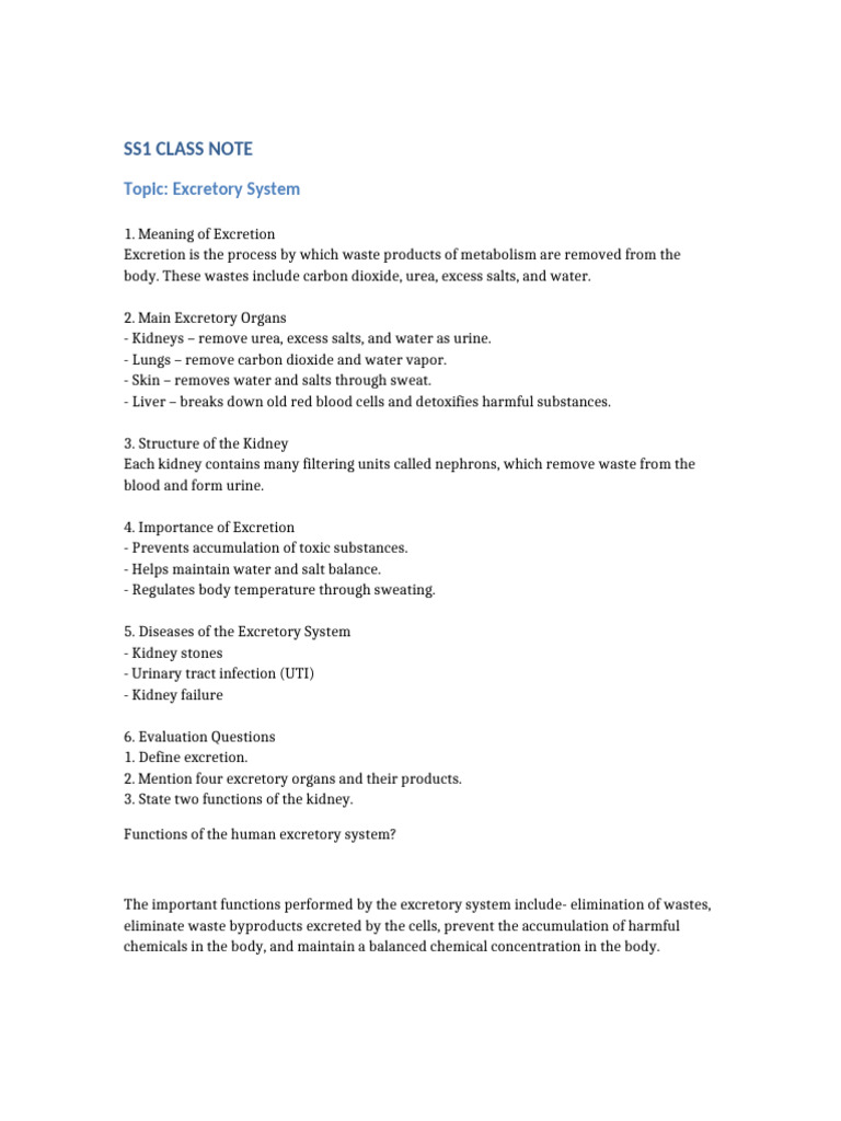 SS1 Excretory System Class Note | PDF | Excretion | Kidney