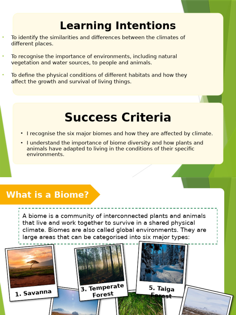 LESSON NOTE ON World Biomes. | PDF | Forests | Rainforest