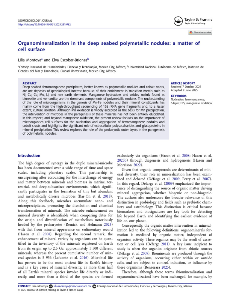 Organomineralization in The Deep Seabed Polymetallic Nodules A Matter ...