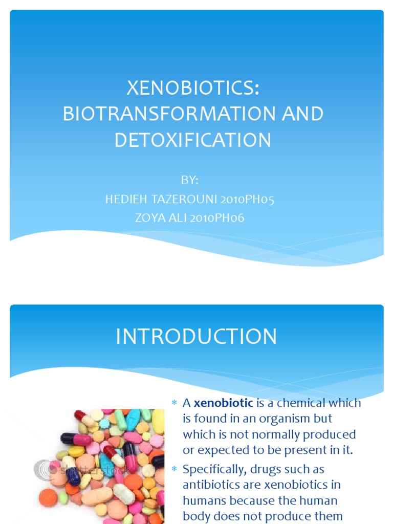 XENOBIOTICS | Drug Metabolism | Cytochrome P450