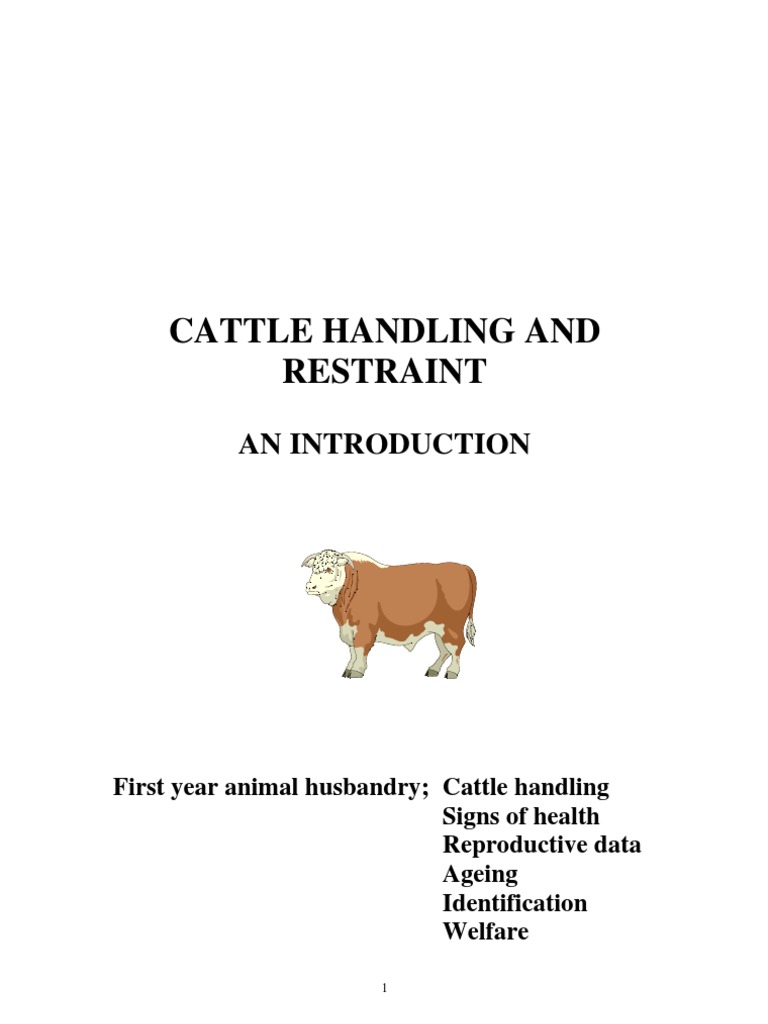 Cattle Handling Booklet 2 | PDF | Dairy Cattle | Calf