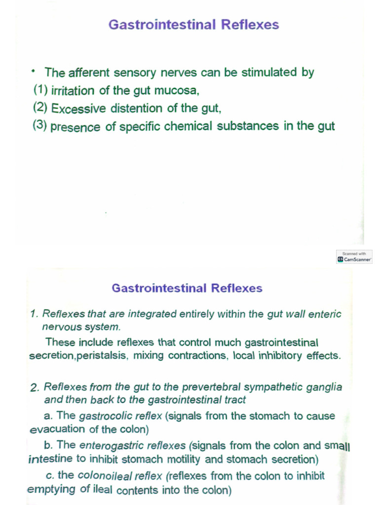 GIT Reflexes and Movement 1 | PDF