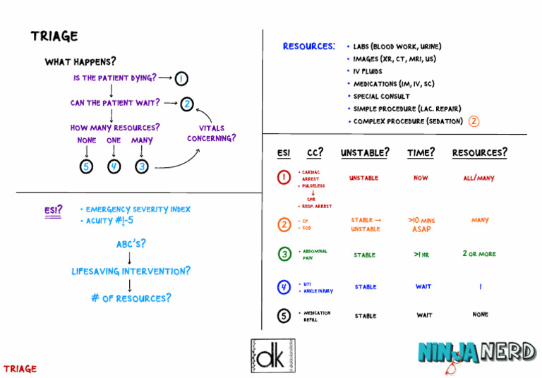Nursing Basics 001 Triage NCLEX Illustrations Key | PDF