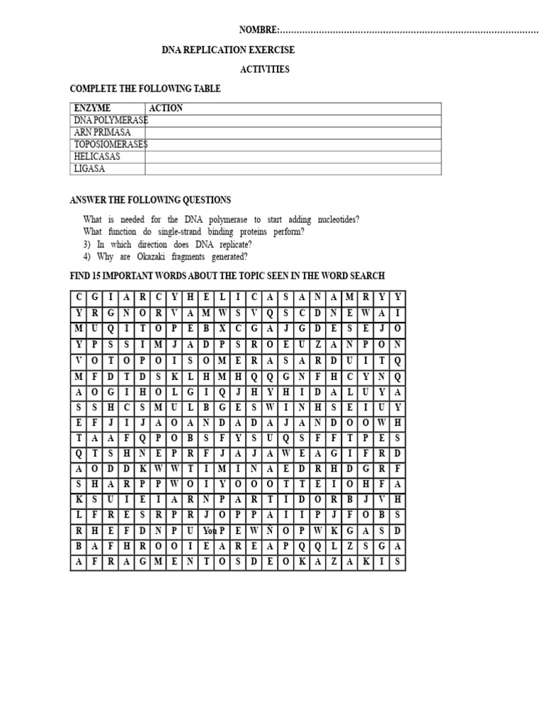 Exercise DNA Replication | PDF