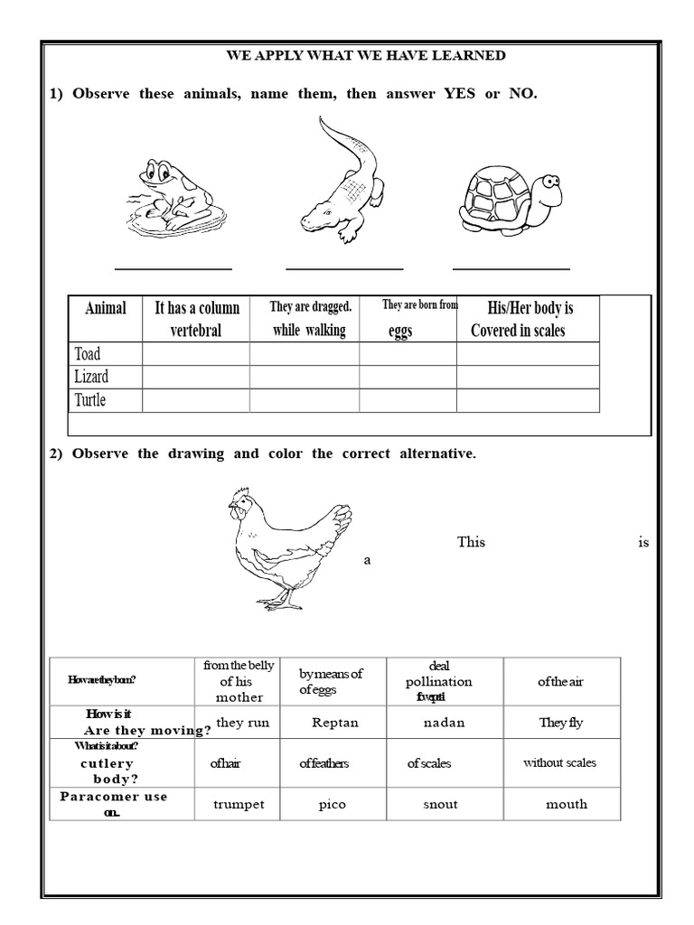 Animal Classification and Observation Activities | PDF