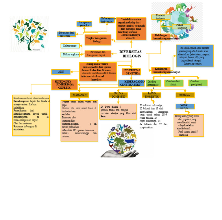PETA KONSEPTUAL DARI KEANEKARAGAMAN HAYATI | PDF
