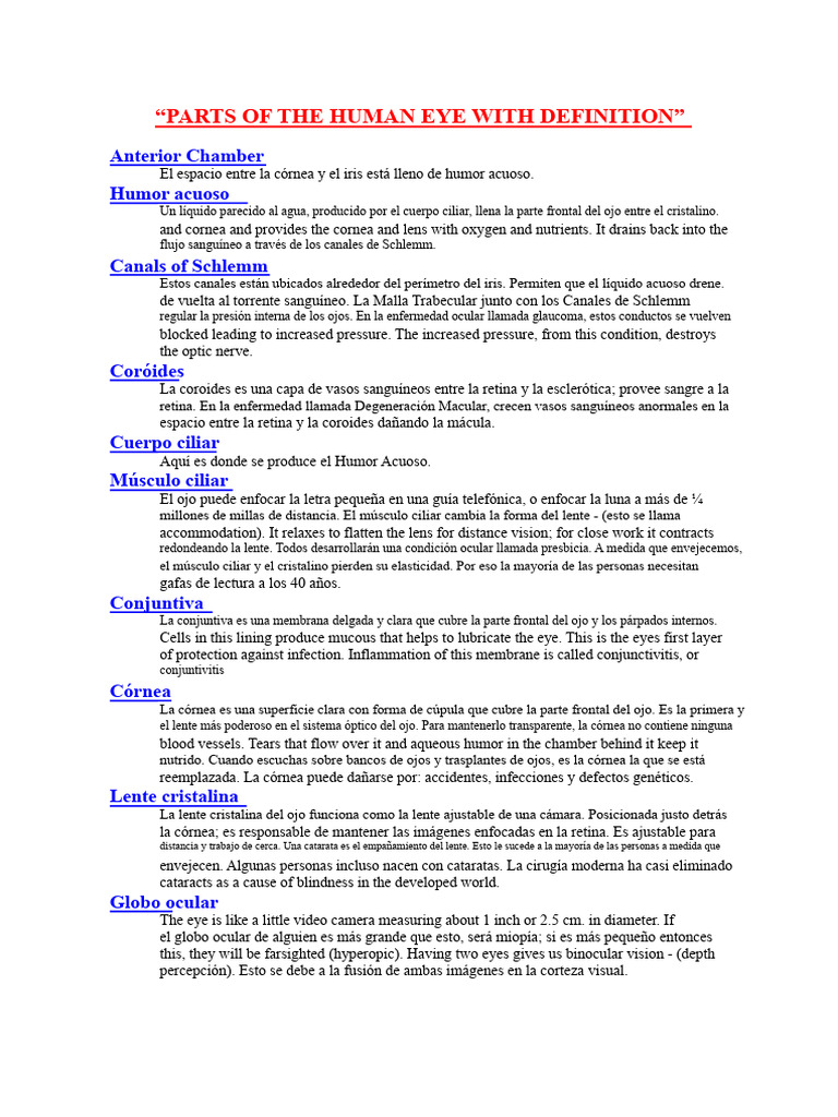 Partes del Ojo Humano y sus Funciones | PDF | Ojo humano | Percepción ...