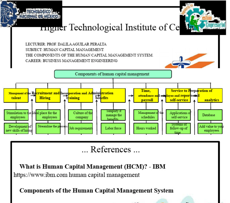 Flowchart - The Components of The Human Capital Management System ...