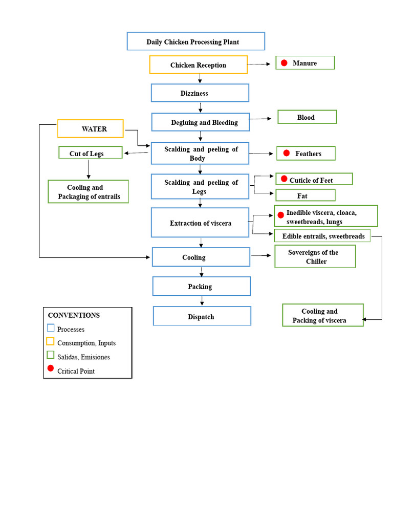 Flowchart of The Chicken Process | PDF