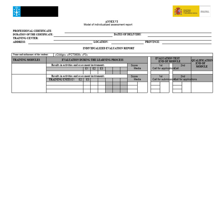 Individualized Assessment Report Template | PDF