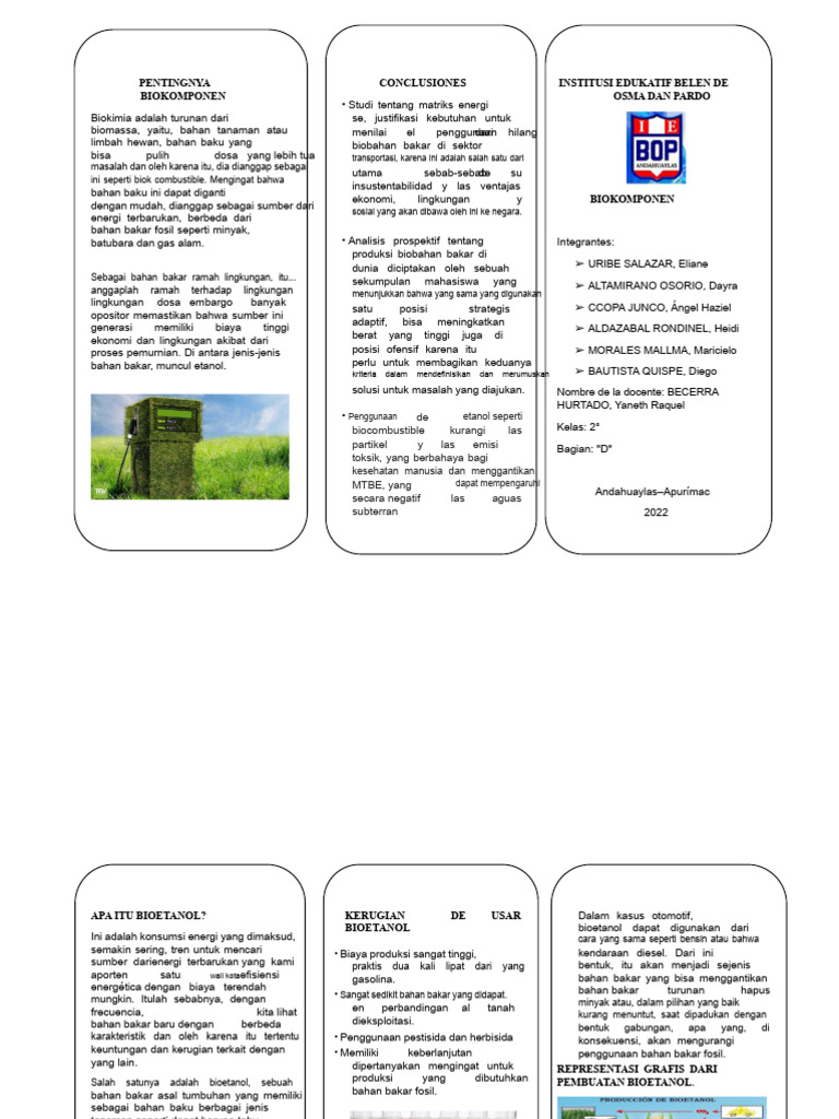 Triptik Biofuel | PDF