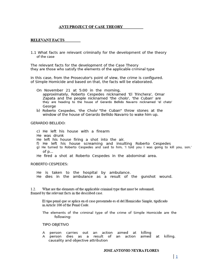 Example To Present Case Theory | PDF | Crimes | Crime & Violence
