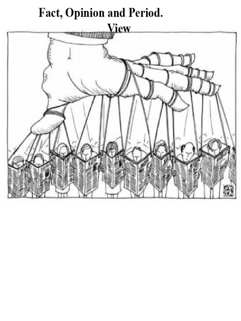 Fact, Opinion and Point of View | PDF