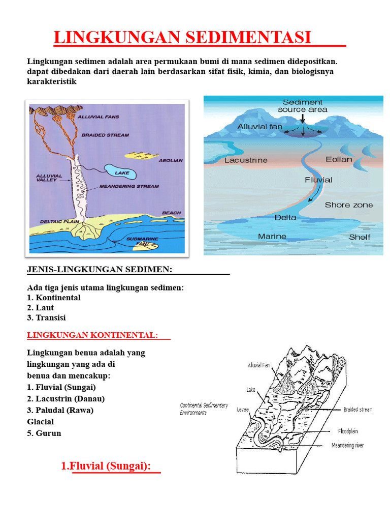 Jenis-Jenis Lingkungan Sedimentasi | PDF