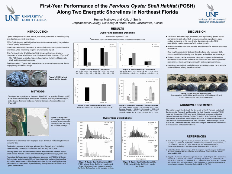 Pervious Oyster Shell Habitat | PDF | Coral Reef | Oyster