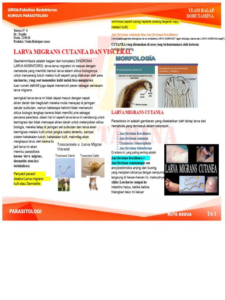 Larva Migrans: Penyebab dan Gejala | PDF