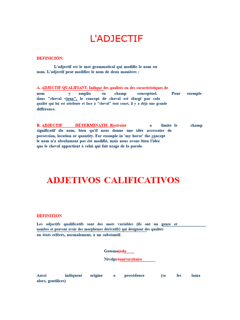 Comprendre l'Adjectif en Grammaire | PDF | Adjectif | Genre grammatical