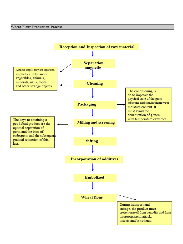 Wheat Flour Production Process Guide | PDF
