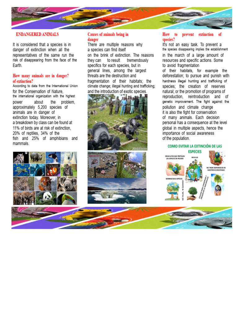 ANIMALS ON THE BRINK OF EXTINCTION - brochure | PDF | Extinction ...