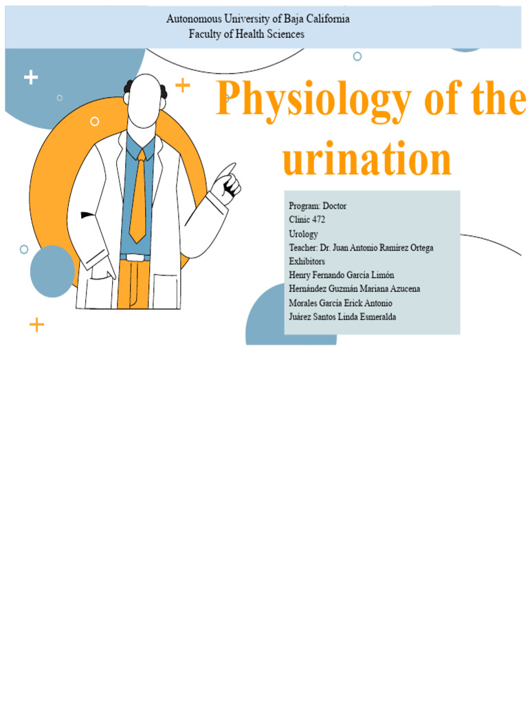 Physiology of Urination | PDF | Urination | Urinary Incontinence