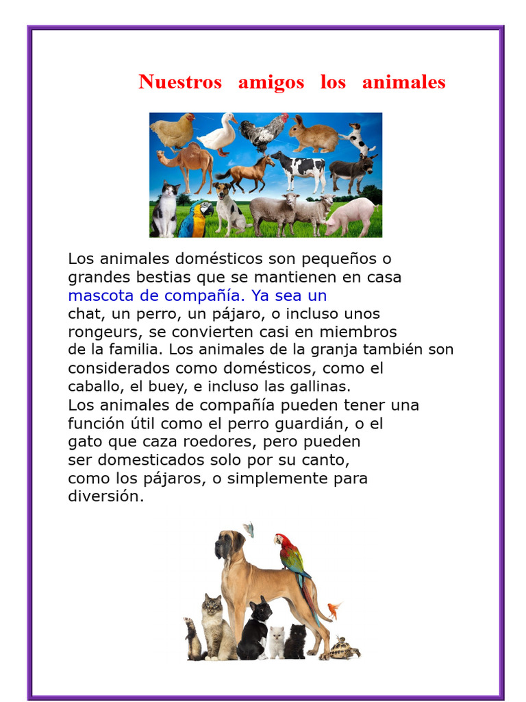 Los Animales Domésticos | PDF