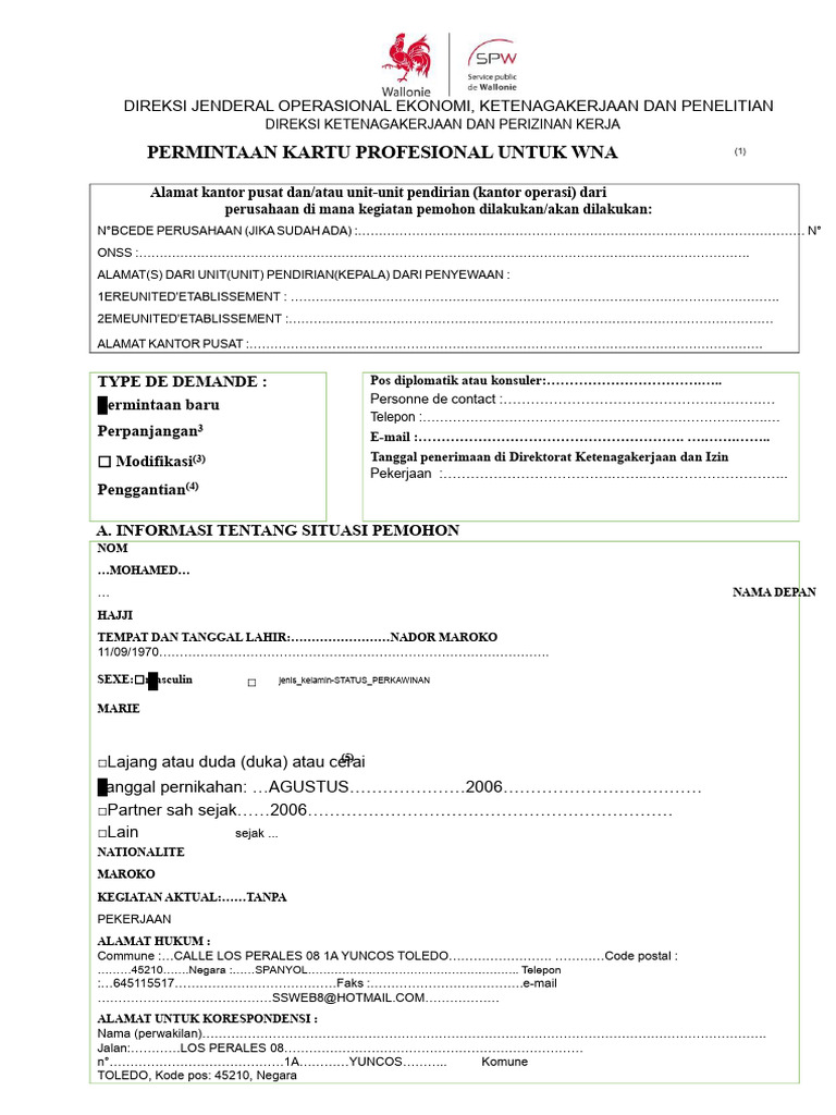 Formulir Permohonan Kartu Profesional Melalui Pos Diplomatik Atau ...