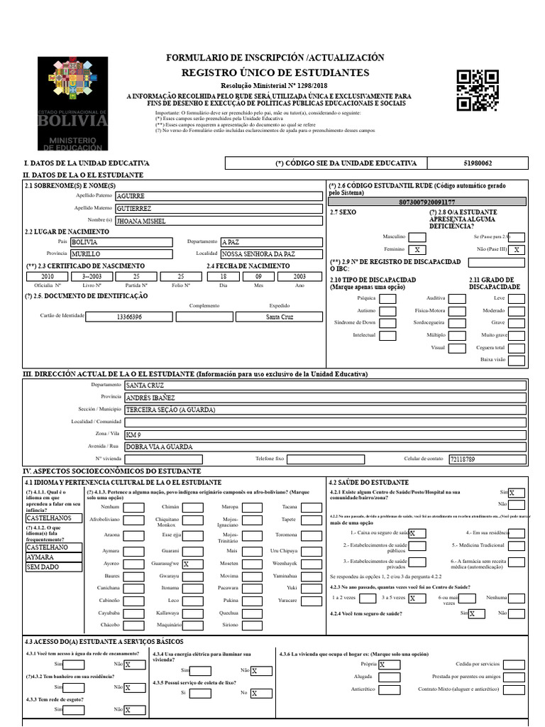 Relatório-Formulário-Rude | PDF