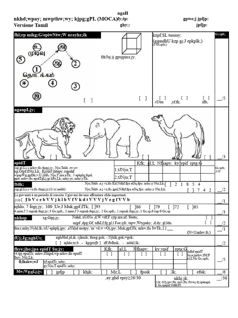 Tamil MOCA Version Overview | PDF