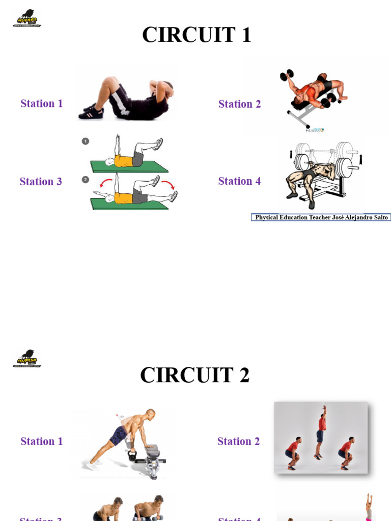 Hybrid Training Circuit Guide | PDF | Physical Fitness | Physical Exercise