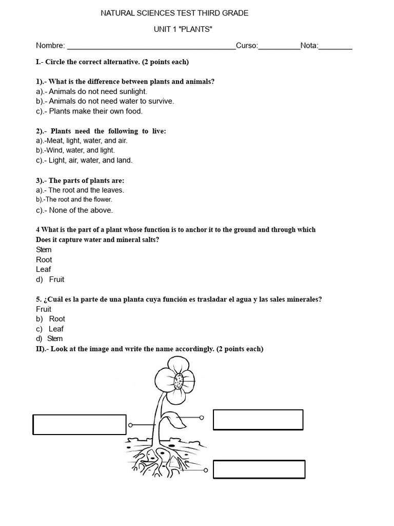 Natural Sciences Test Third Grade | PDF | Plants | Branches Of Botany