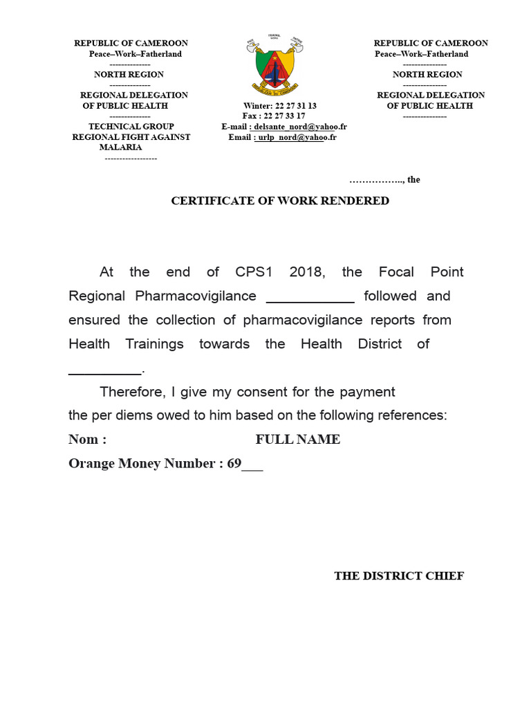 Work Certificate Template DS T1 | PDF