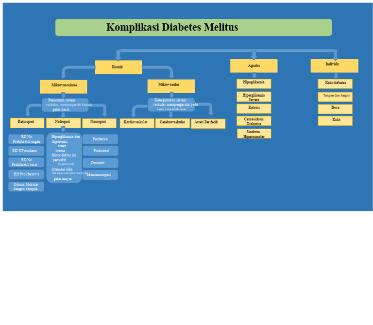 Komplikasi Diabetes Melitus dan Dampaknya | PDF